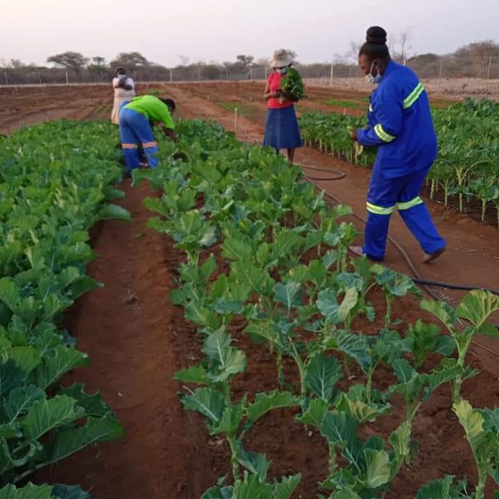 Our International Partners | maNGOma